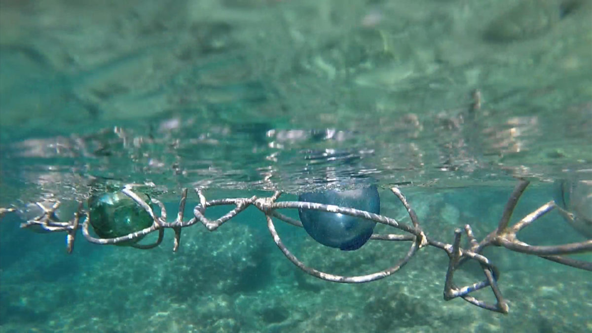 Catherine Cattaneo Floating - Daniel Rothbart