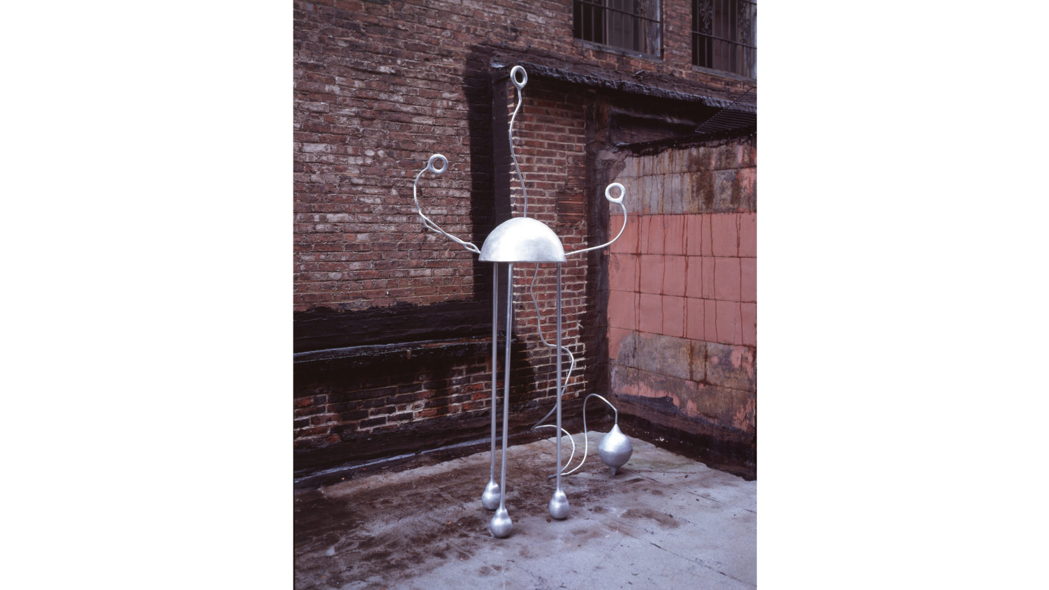 Rooftop - Daniel Rothbart