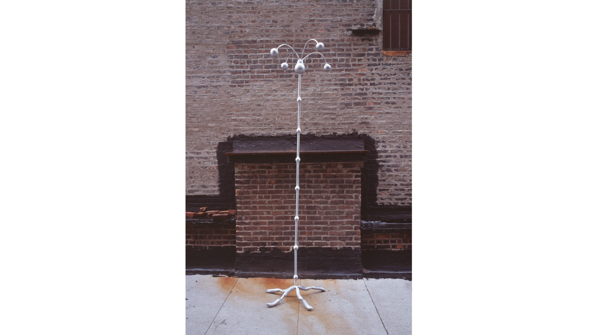 Rooftop - Daniel Rothbart