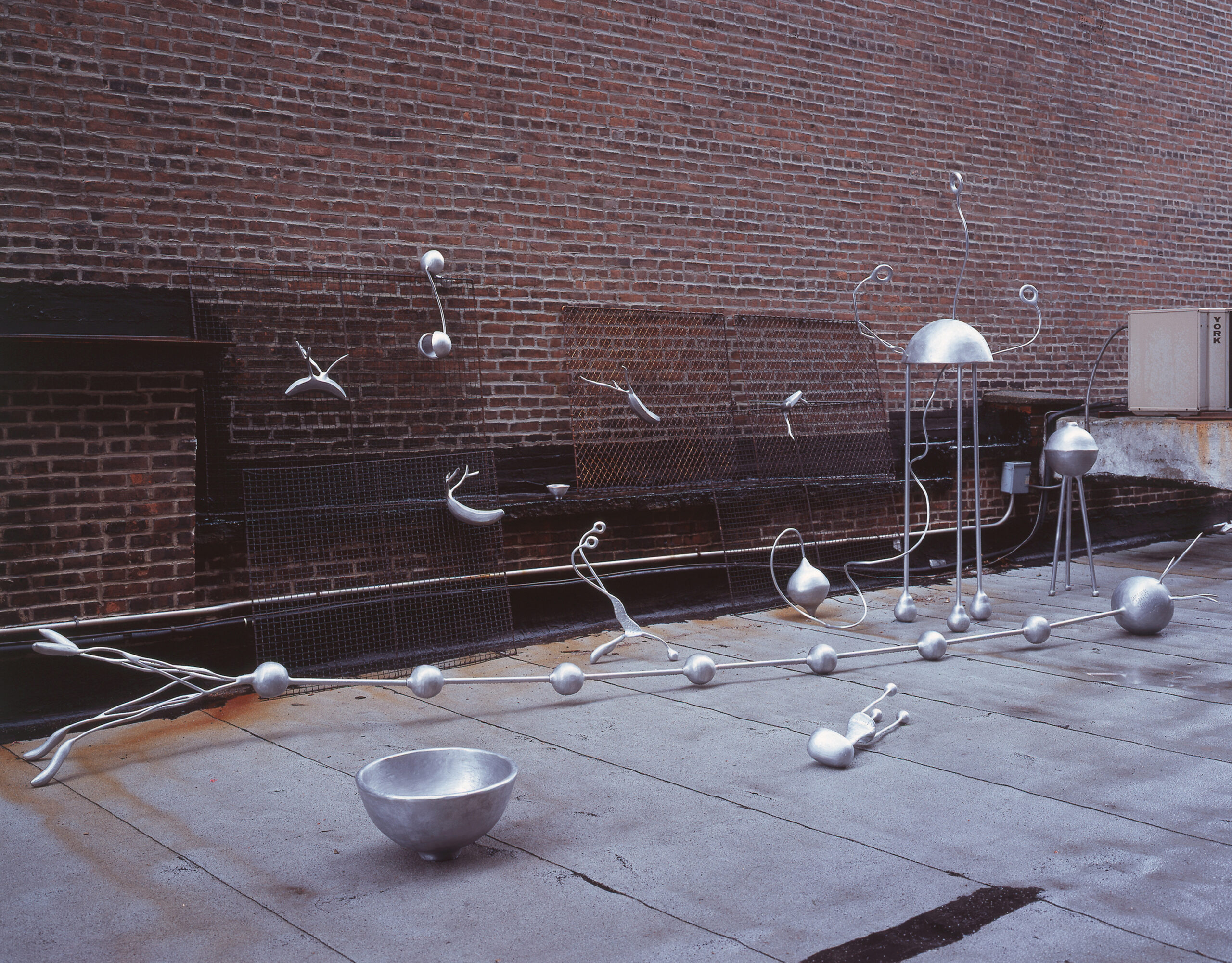 Rooftop - Daniel Rothbart