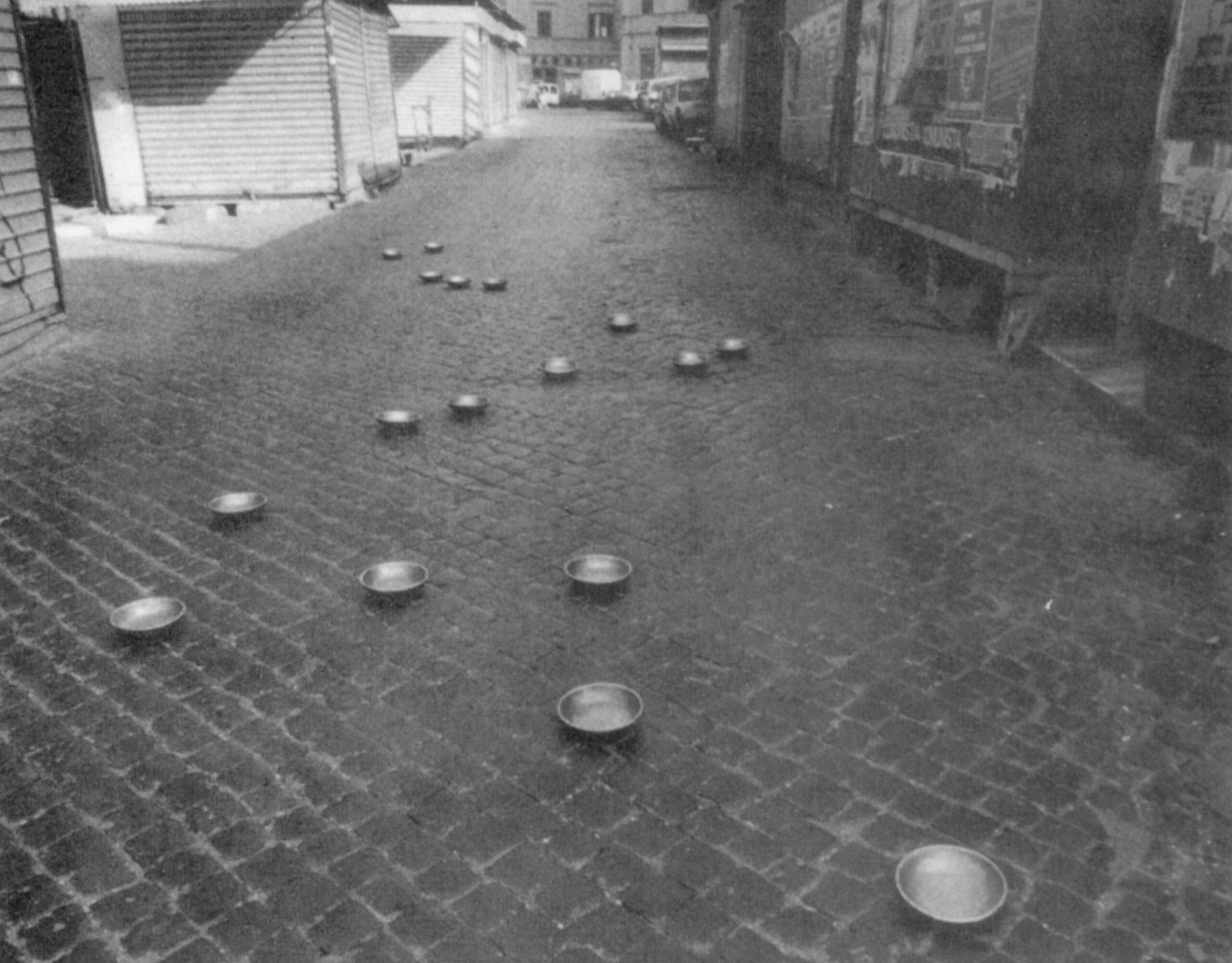 The Roman Street - Daniel Rothbart