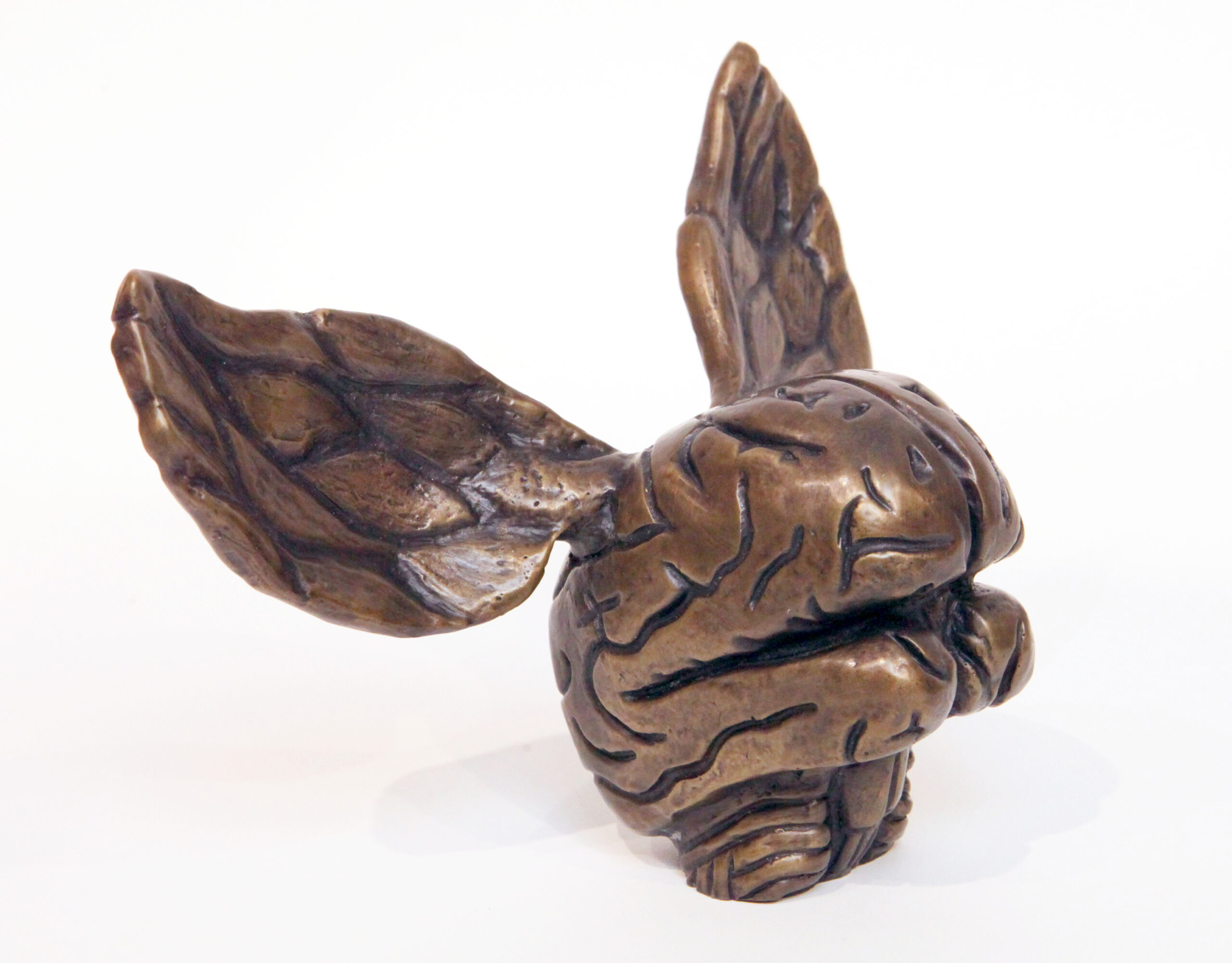 Winged Brain - Daniel Rothbart